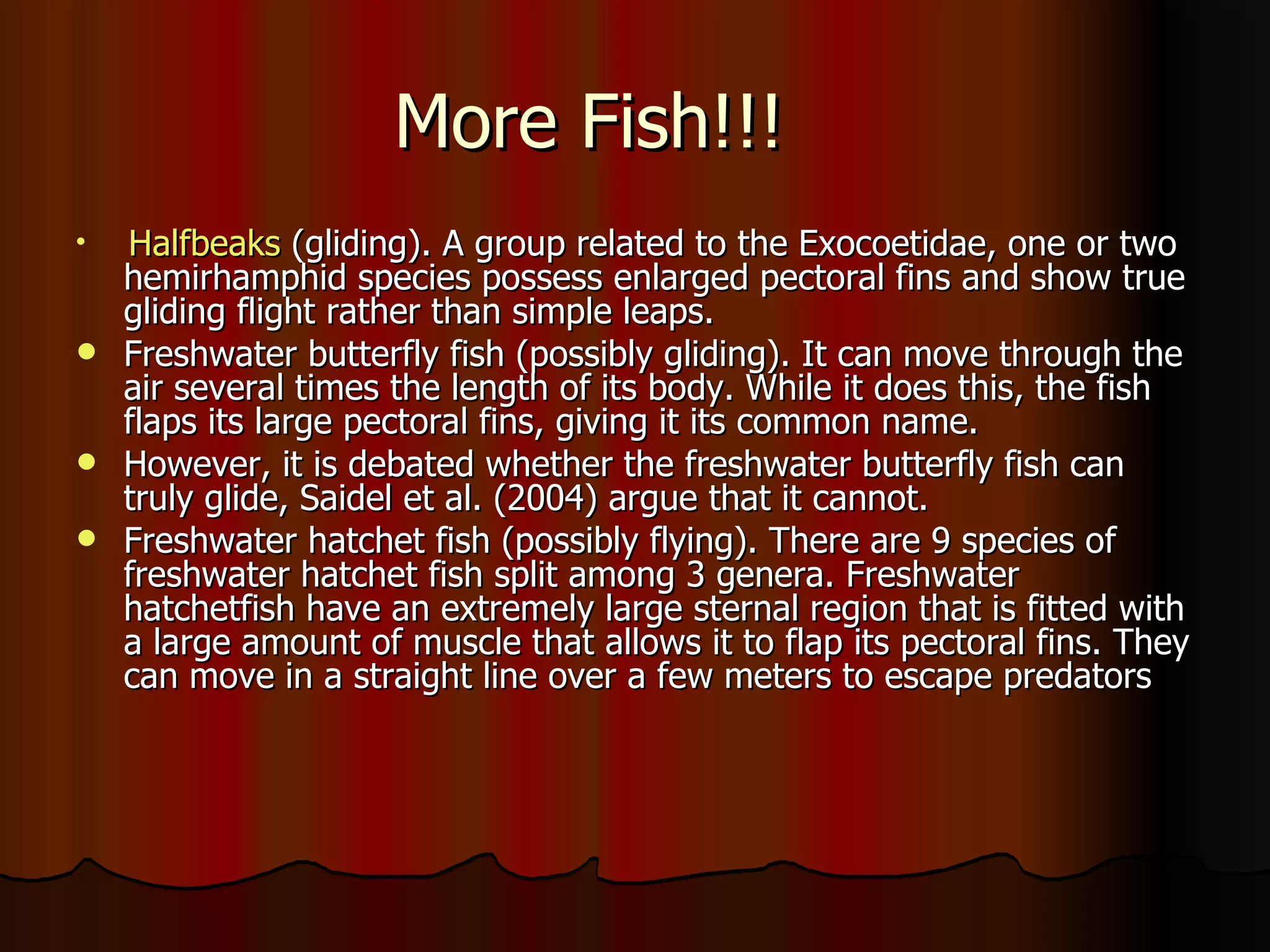 flying animals | PPT