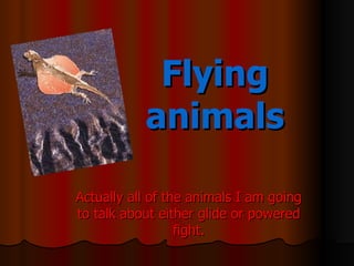 flying animals | PPT | Biological Sciences | Science