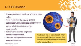 Comprehensive Overview of Human Reproductive System and Cell Division ...