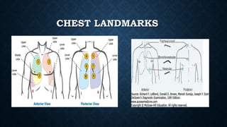 Assessment of Respiratory System | PPTX