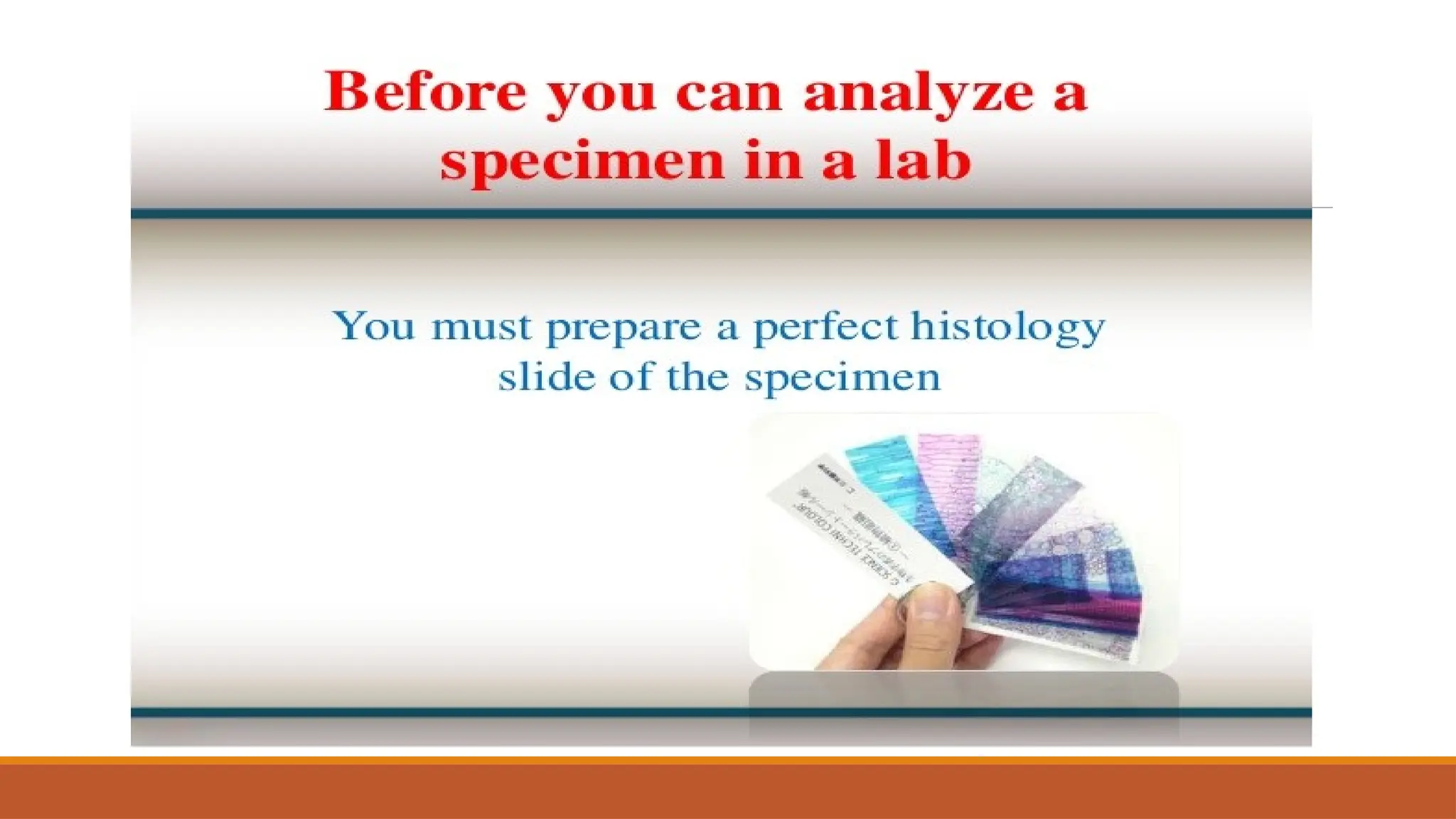 Pathology specimen handling and process of making slides | PPTX