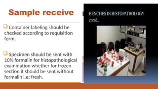 Pathology specimen handling and process of making slides | PPTX