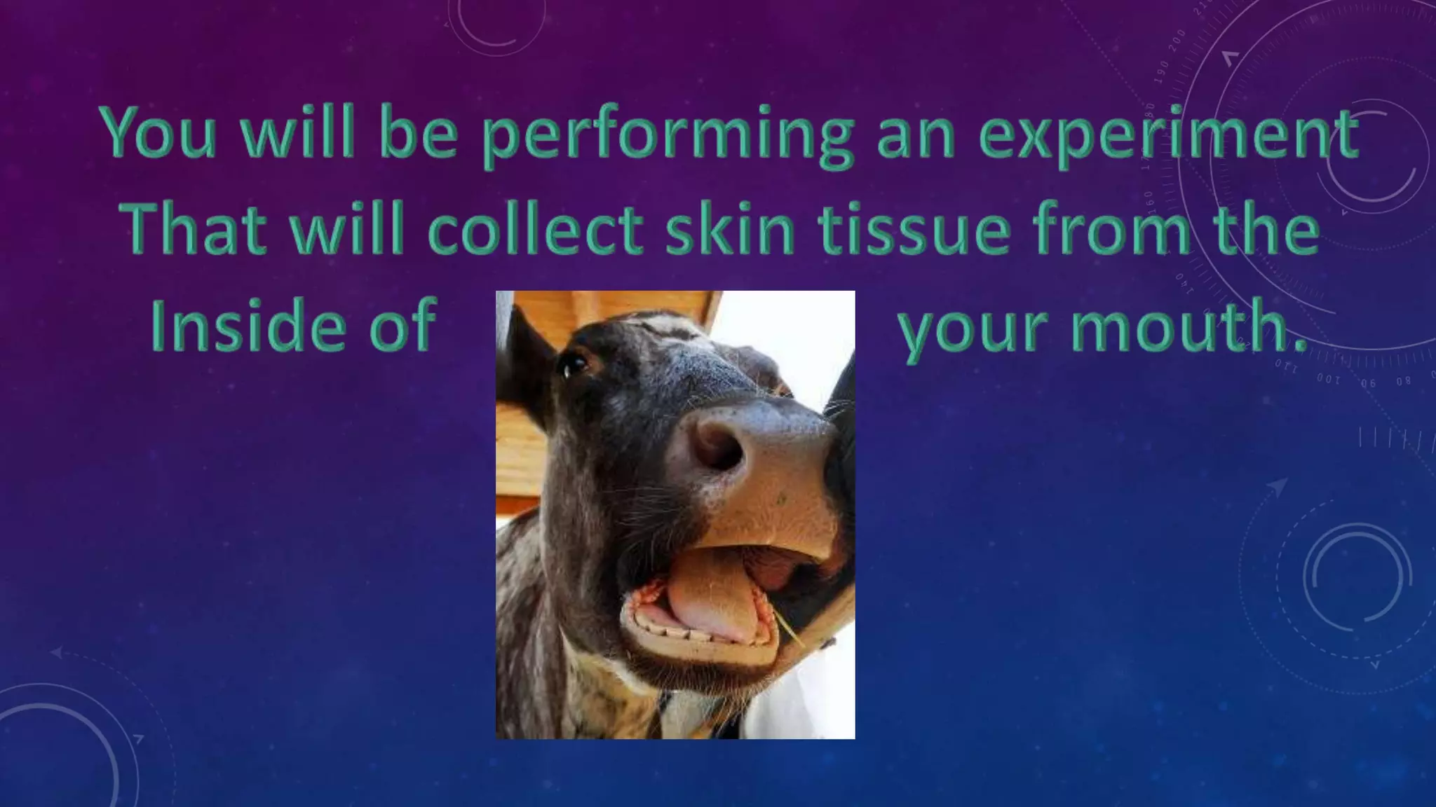 Ppt For Dna Extraction Introduction Pptx Genetics Science