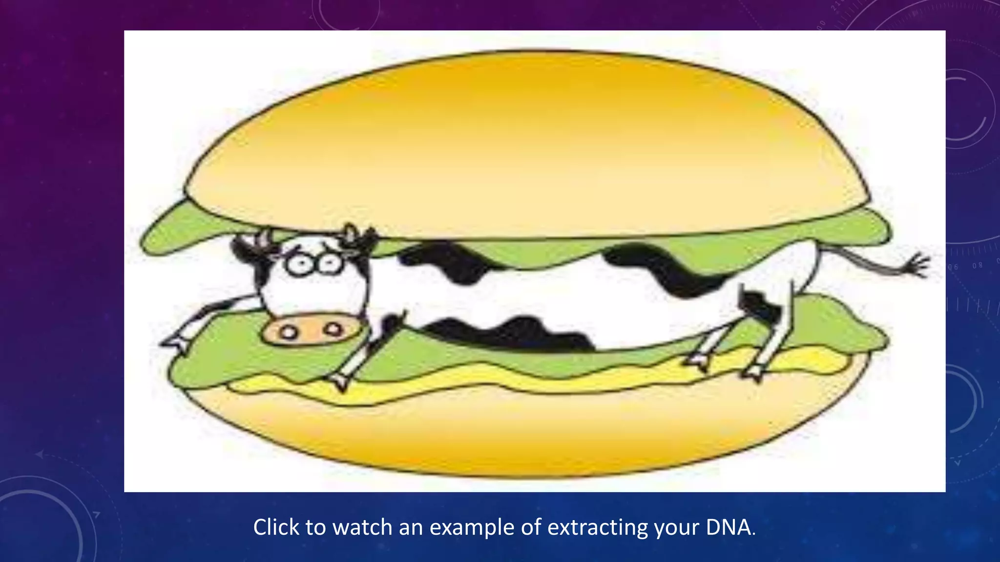 Ppt For Dna Extraction Introduction Pptx Genetics Science