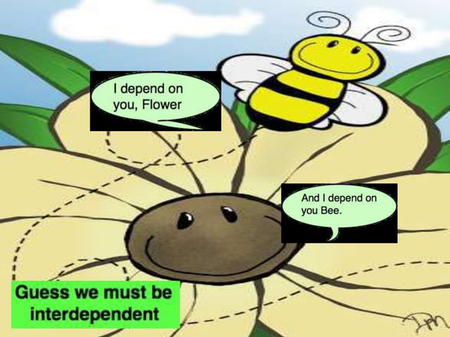 Plants and animals are interdependent | PPTX