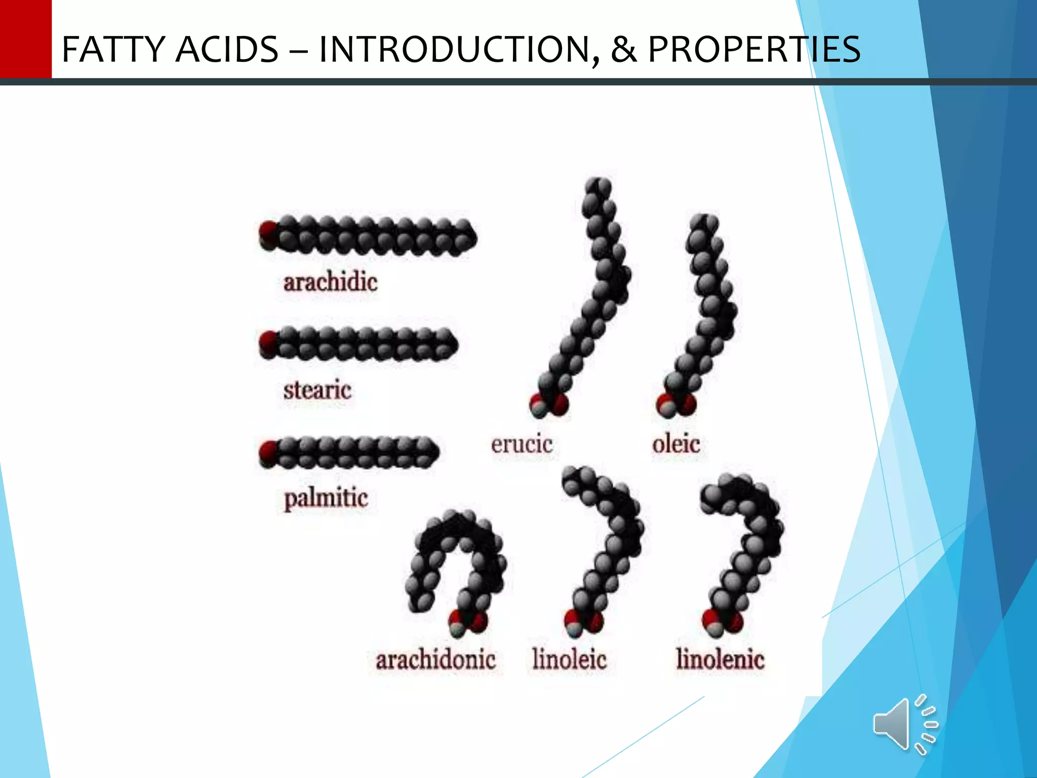 Fatty acids ppt - nomenclature & properties- By Sumati Hajela | PPTX