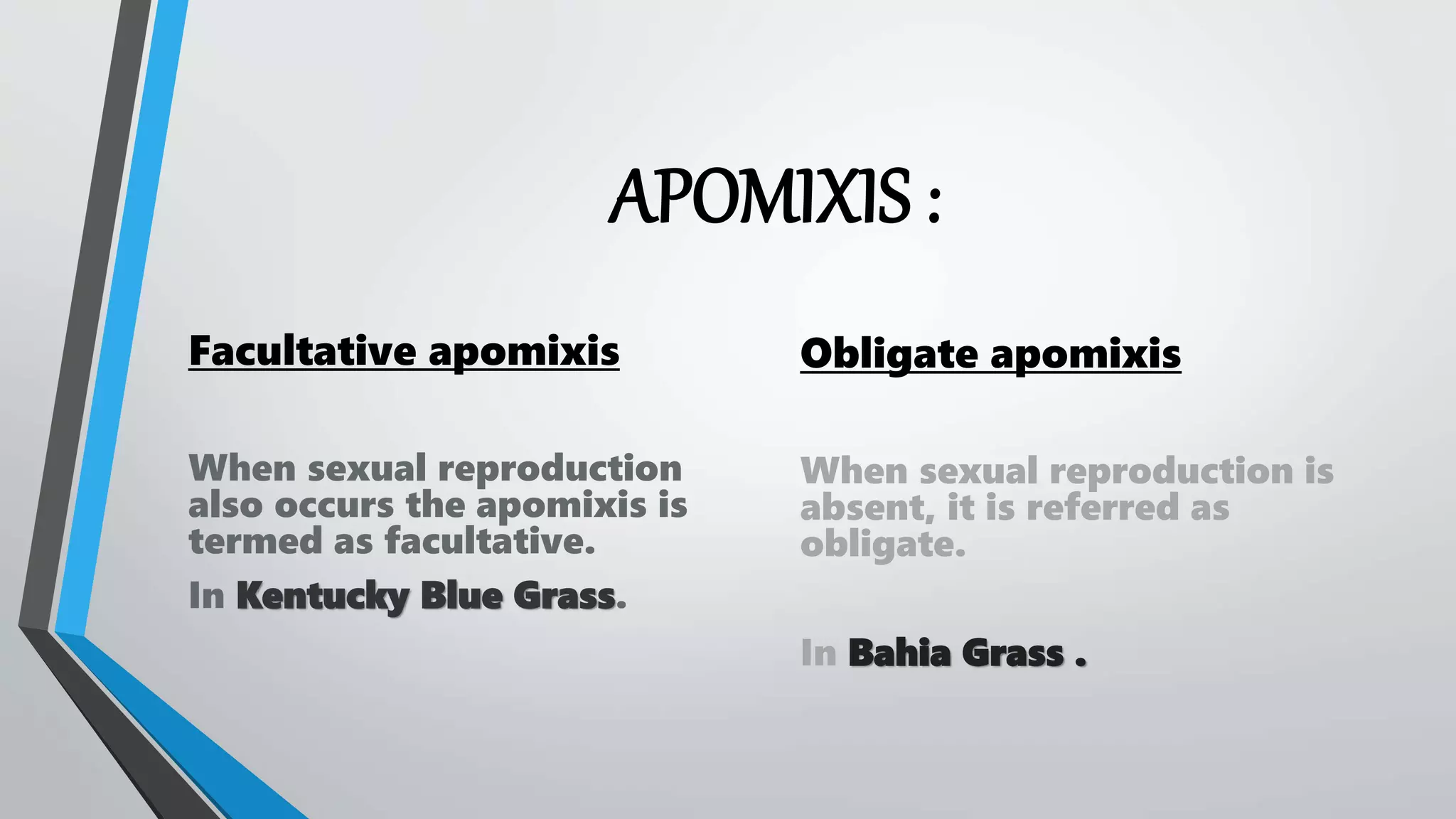 Ppt for fs POLYEMBRYONY and APOMIXISby zahid | PPTX | Infertility ...