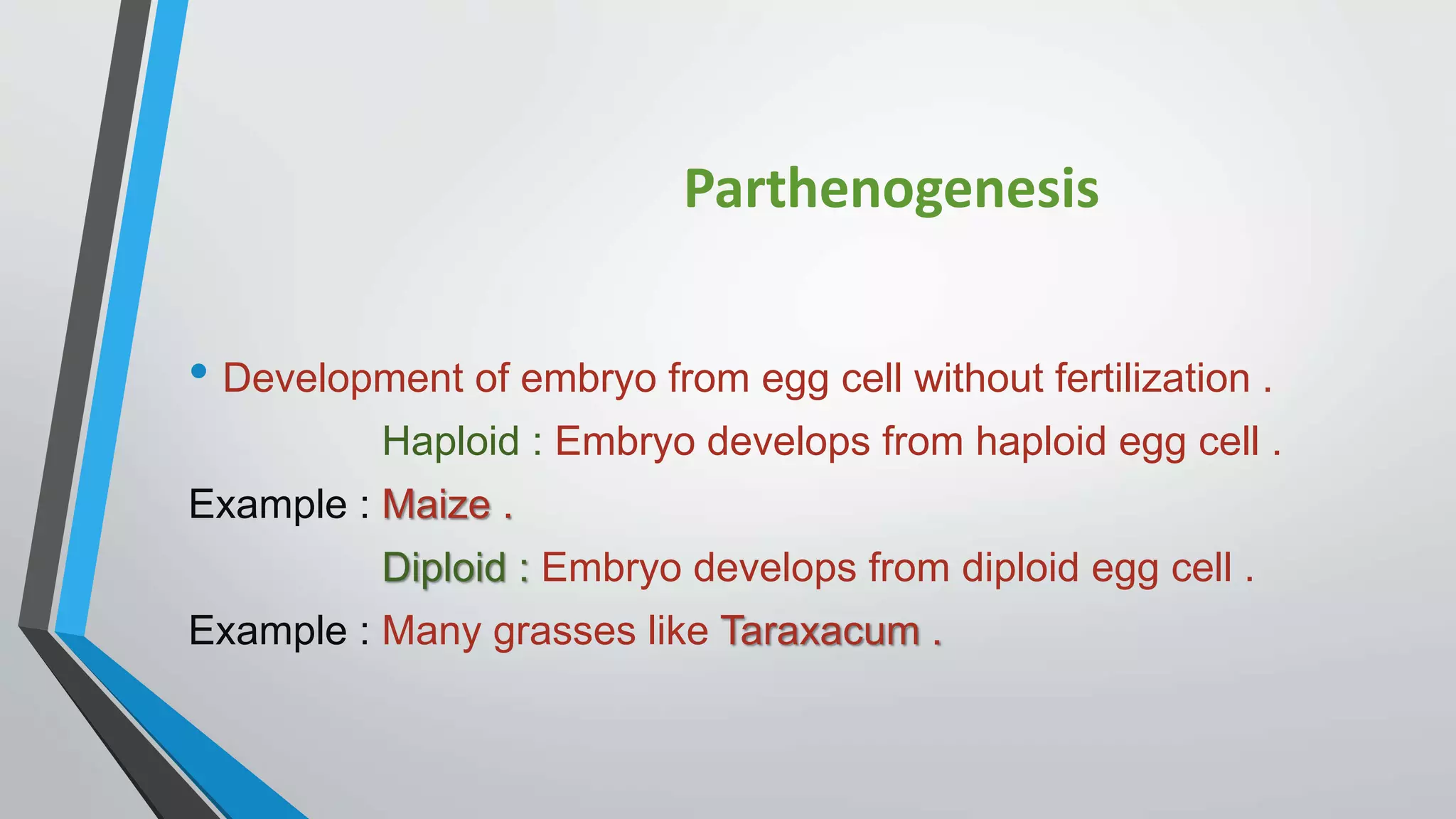 Ppt for fs POLYEMBRYONY and APOMIXISby zahid | PPTX