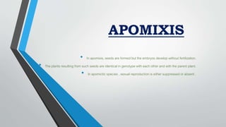 Ppt for fs POLYEMBRYONY and APOMIXISby zahid | PPTX