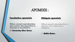 Ppt for fs POLYEMBRYONY and APOMIXISby zahid | PPTX