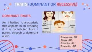 PPT FOR GENETICS (2).pptx
