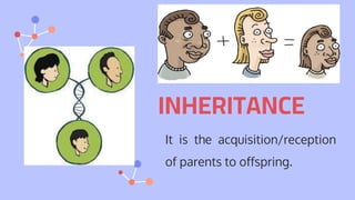 PPT FOR GENETICS (2).pptx