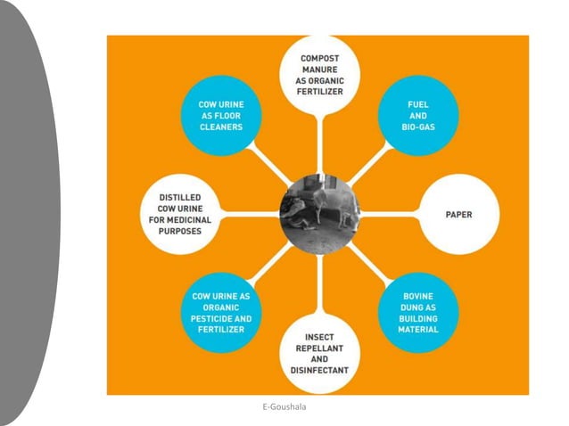 PPT for Goushala.pptx