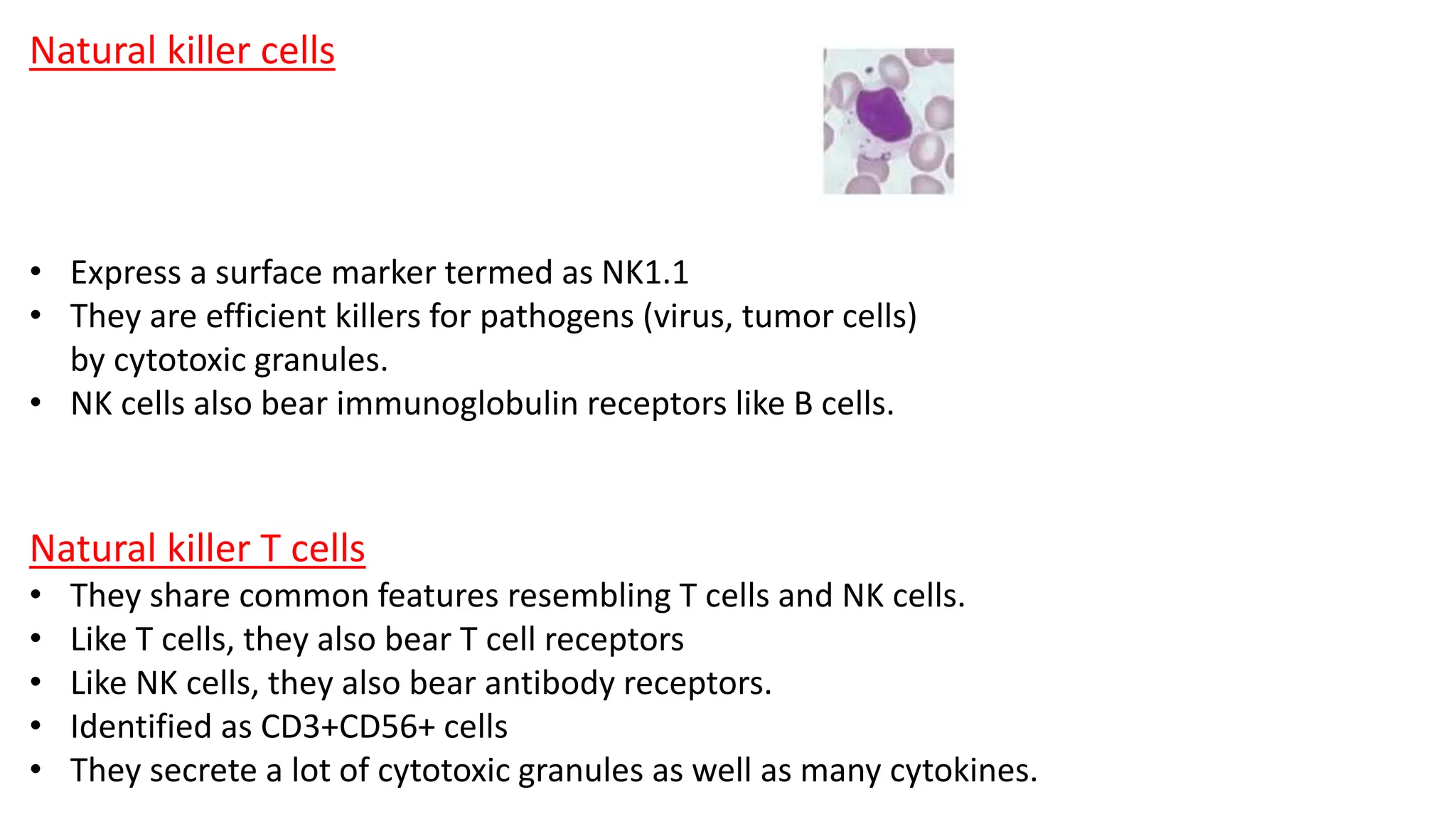 Ppt for Immunology_MSc 2nd Sem.pptx