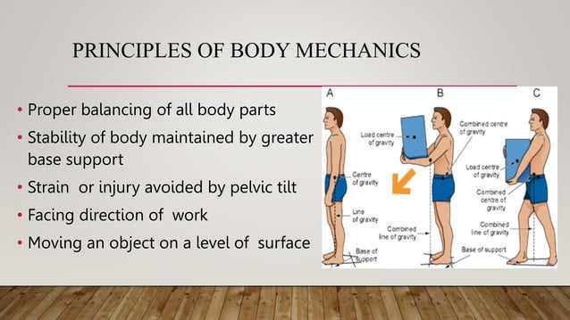 BODY MECHANICS AND EXERCISE | PPTX | Physical Therapy | Wellness