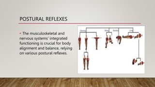 BODY MECHANICS AND EXERCISE | PPTX