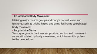 BODY MECHANICS AND EXERCISE | PPTX
