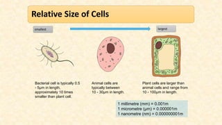 Chapter: 2 "Cells" | PPTX