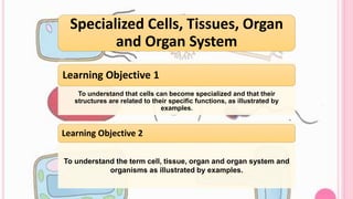 Chapter: 2 "Cells" | PPT