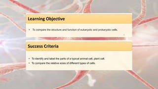 Chapter: 2 "Cells" | PPT