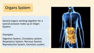 Chapter: 2 "Cells" | PPT