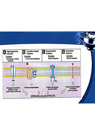 ppt for mechanism of drug.pdf