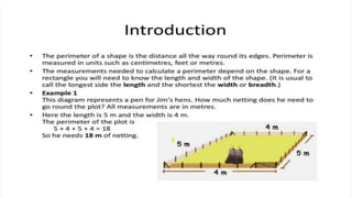 PPT FOR PERIMETER.pptx