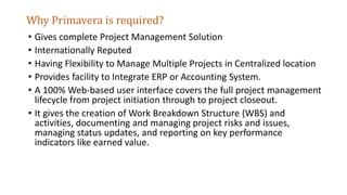 PPT for Primavera P6.pptx