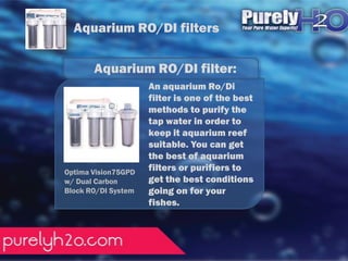Aquarium rodi filter | PPT
