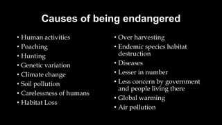 Ppt for sharing | PPT