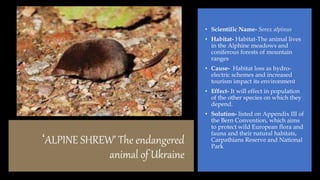 Ppt for sharing | PPT