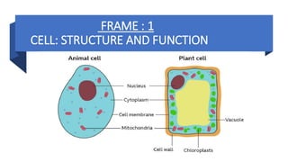 Cell structure and Function | PPTX