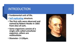 Cell structure and Function | PPTX