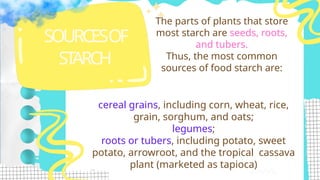 PPT FOR THE SESSION Classification and Sources of Starch.pptx