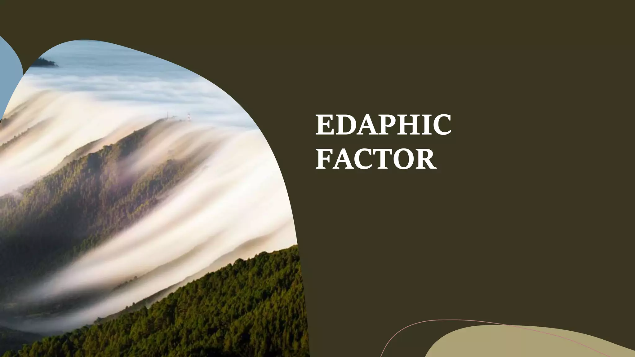 PPT FOR TROPICAL ECOLOGY.pptx