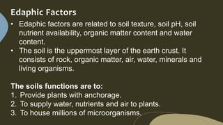 PPT FOR TROPICAL ECOLOGY.pptx