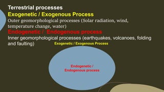 PPT FOR TROPICAL ECOLOGY.pptx