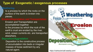 PPT FOR TROPICAL ECOLOGY.pptx