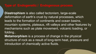 PPT FOR TROPICAL ECOLOGY.pptx