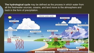 PPT FOR TROPICAL ECOLOGY.pptx