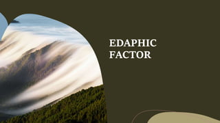 PPT FOR TROPICAL ECOLOGY.pptx