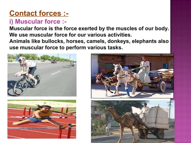 Force and Pressure | PPT