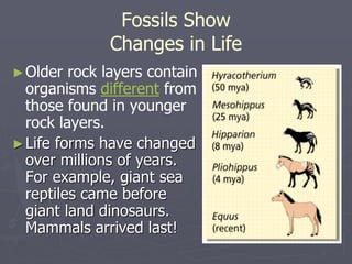 PPT Fossils.ppt