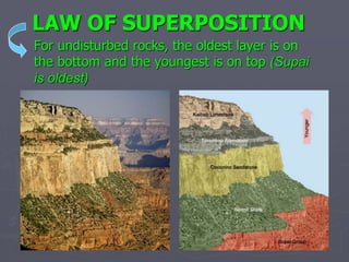 PPT Fossils.ppt