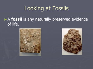 PPT Fossils.ppt