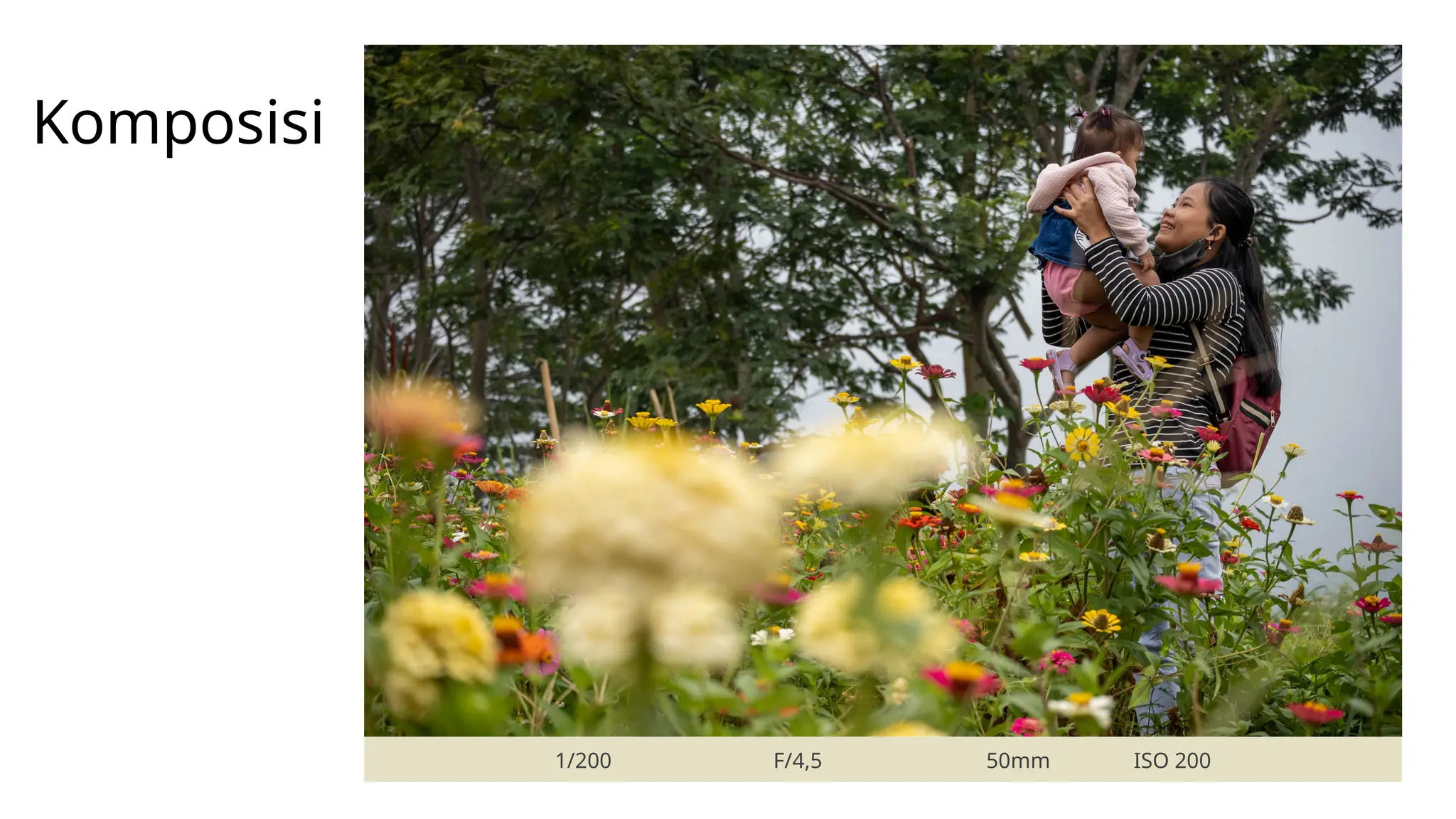 PPT Fotografi Experimen Desain Komunikasi Visual | PPT