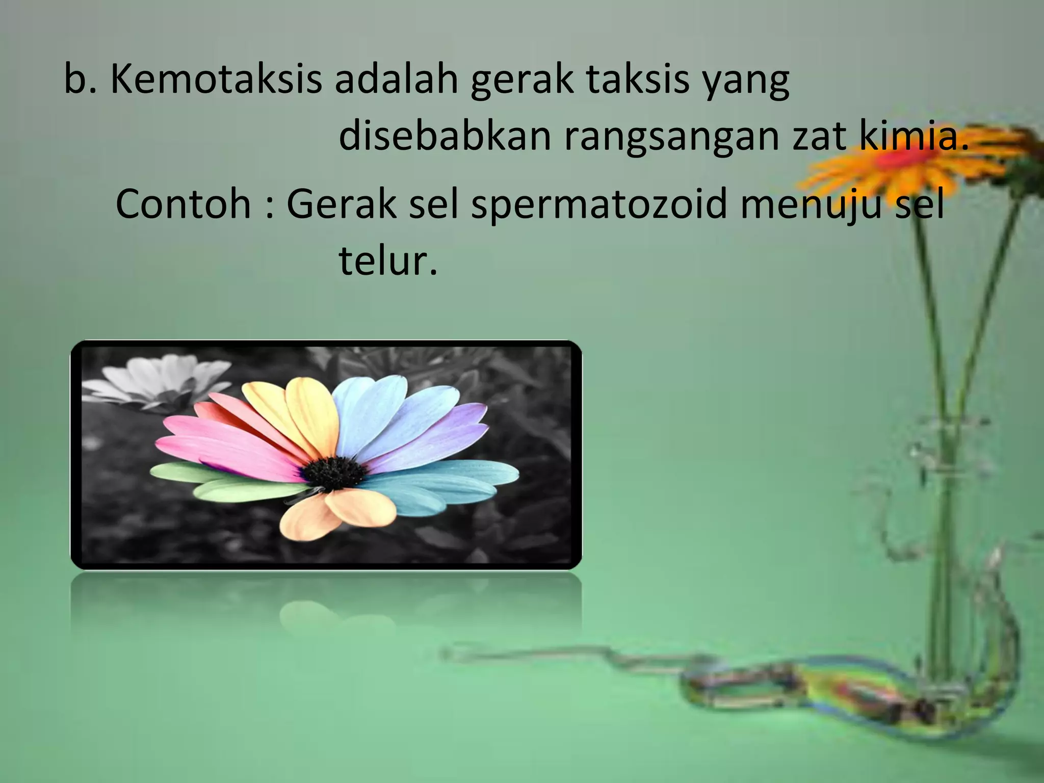 gerak pada tumbuhan | PPT