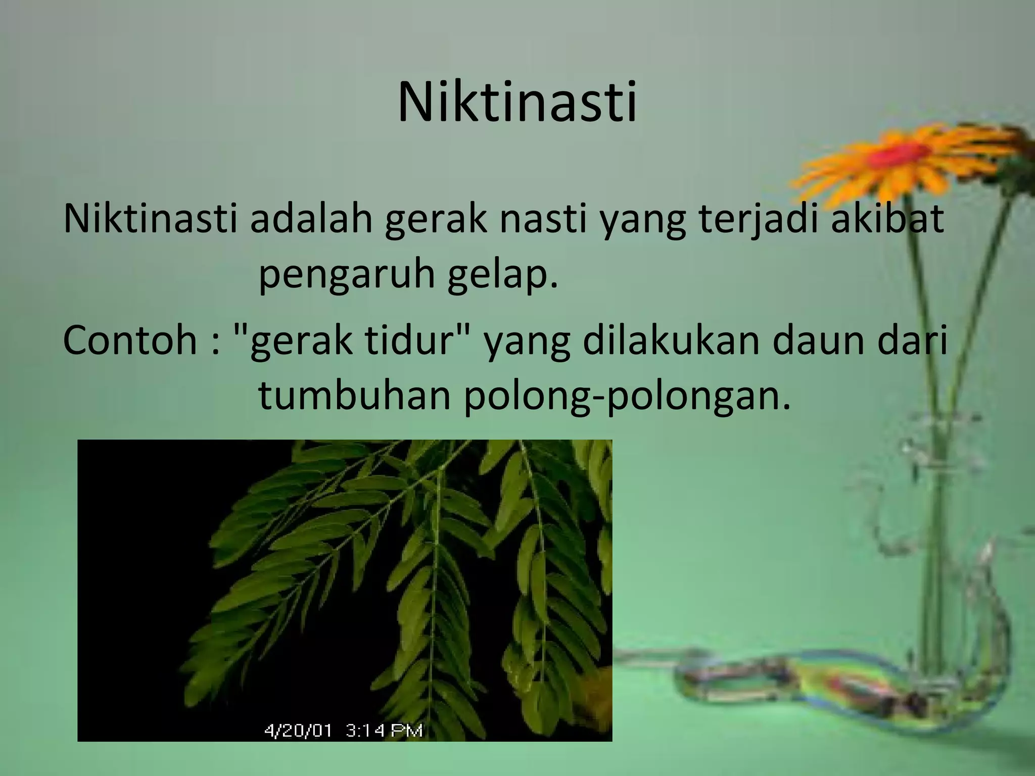 gerak pada tumbuhan | PPT