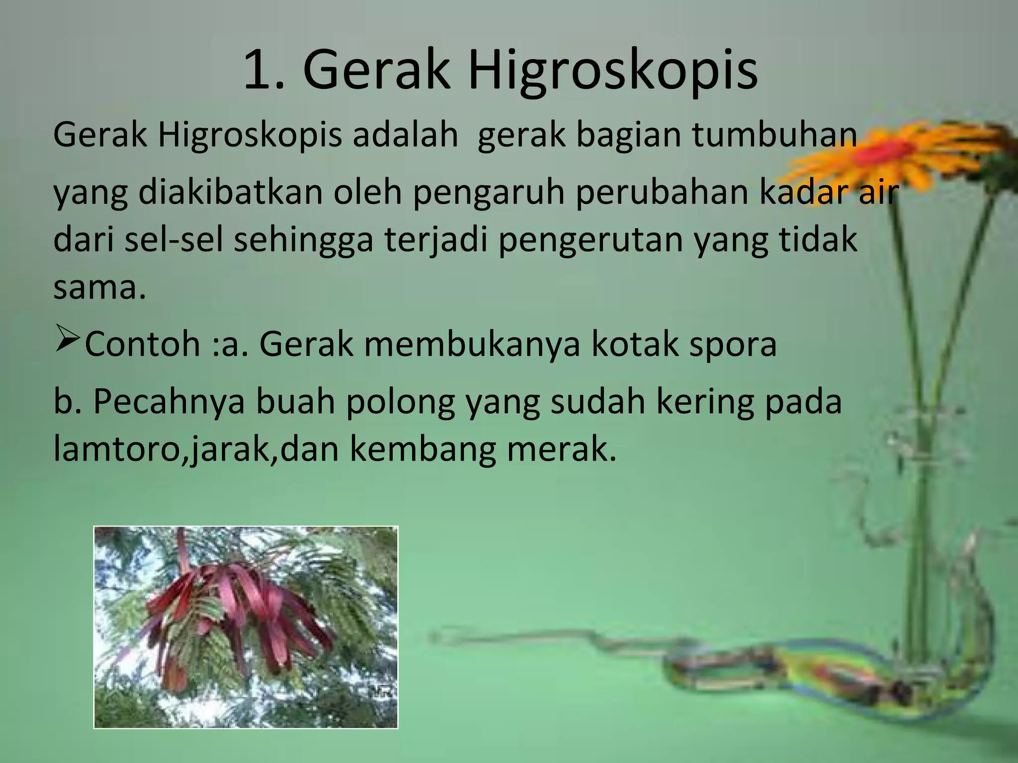 gerak pada tumbuhan | PPT