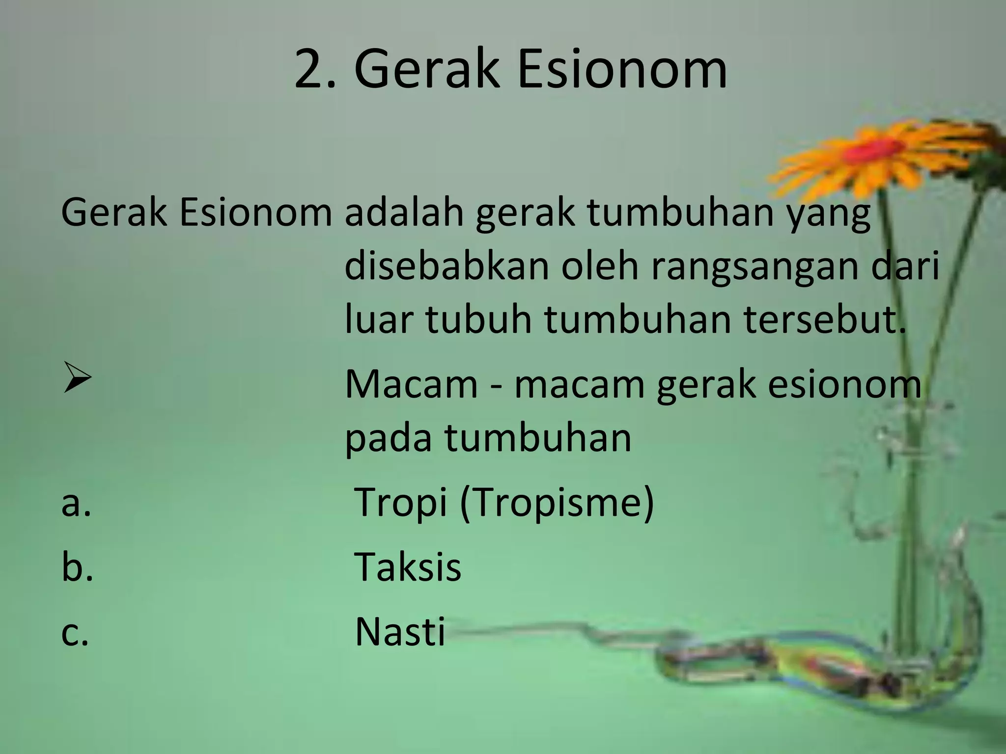 gerak pada tumbuhan | PPT